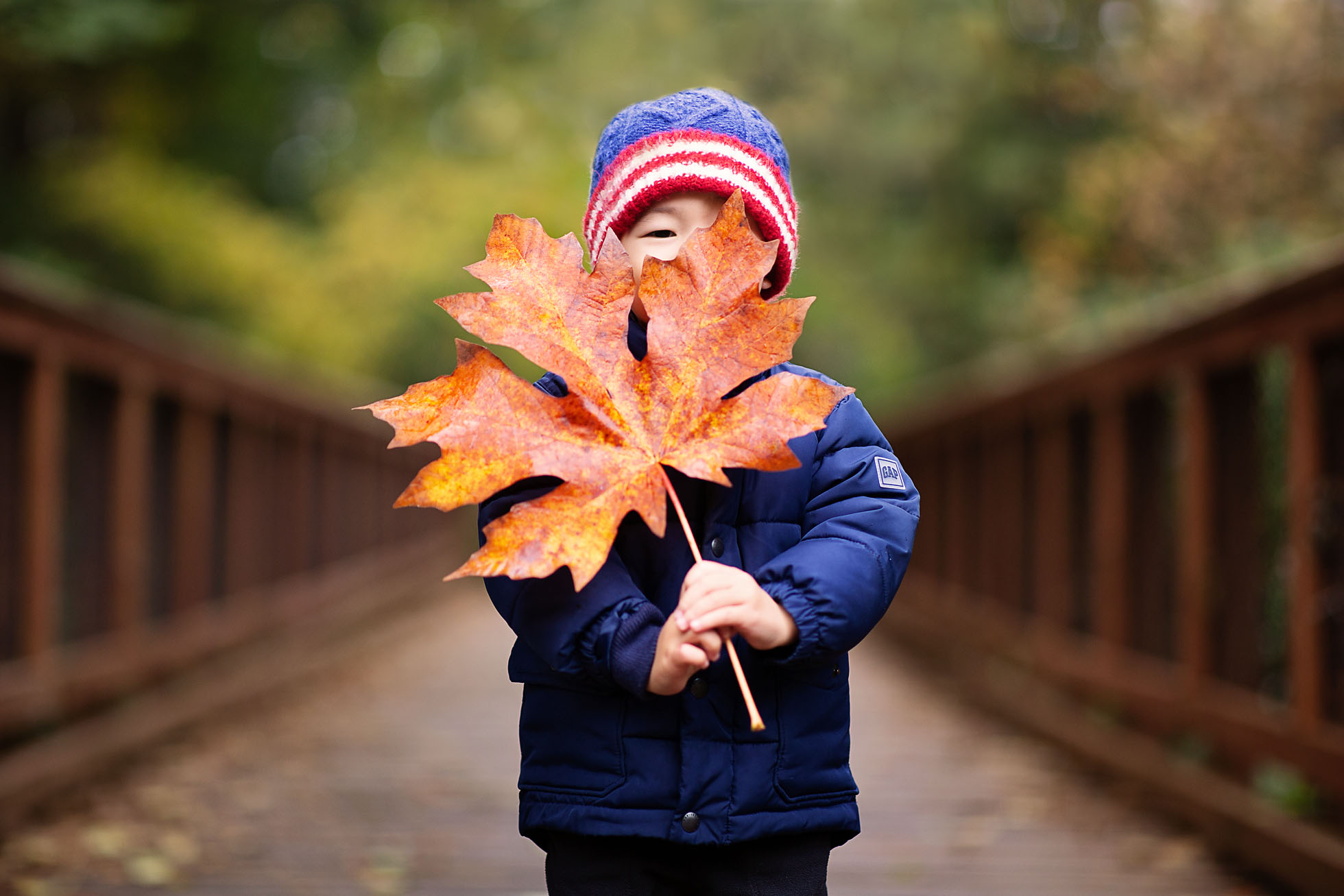 Adlyn Photography | Redmond Newborn, Children, and Family Photographer
